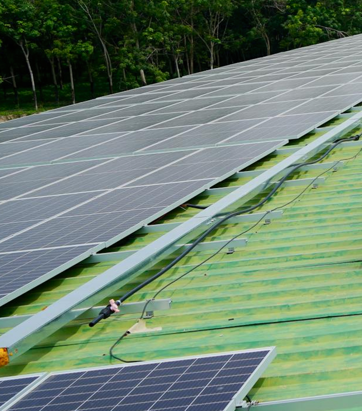 PaigeX™ | Renewable Energy